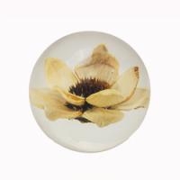 China Nature Clear Flower Paperweight , Resin Floral Paperweight Ball for sale