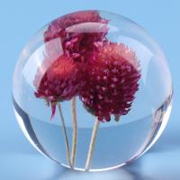 China China source manufacturer of resin balls with real dry flower inside solid clear epoxy resin ball supplier for sale