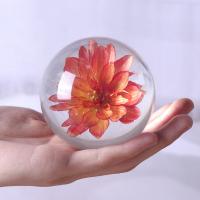 China Real dandelion in Clear resin ball flower resin ball ornament for sale