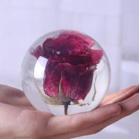 China Real dandelion in Clear resin ball flower resin ball ornament for sale