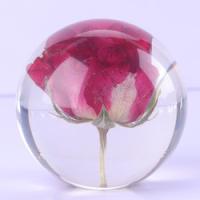 China Real dandelion in Clear resin ball flower resin ball ornament for sale