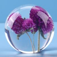 China Real dandelion in Clear resin ball flower resin ball ornament for sale