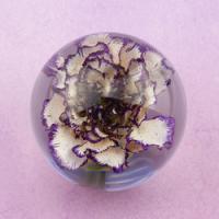China Real dandelion in Clear resin ball flower resin ball ornament for sale