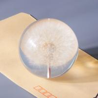 China Fashion Crystal Ball Paperweight , Resin Dandelion Paperweight for sale