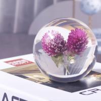 China Fashion Crystal Ball Paperweight , Resin Dandelion Paperweight for sale