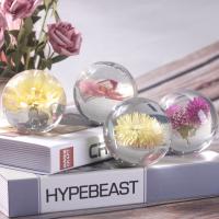 China Fashion Crystal Ball Paperweight , Resin Dandelion Paperweight for sale