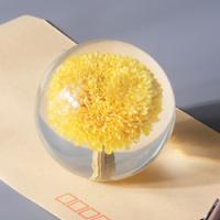 China Fashion Crystal Ball Paperweight , Resin Dandelion Paperweight for sale
