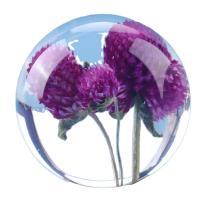 China Business gift Flower Resin Ball , Crystal acrylic paper weight for sale