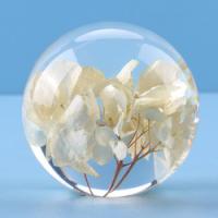 China Business gift Flower Resin Ball , Crystal acrylic paper weight for sale