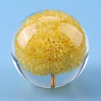 China Business gift Flower Resin Ball , Crystal acrylic paper weight for sale