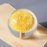 China Custom Resin Paperweight 3 Inch 4 Inch 5 Inch Crystal Paper Weights for sale
