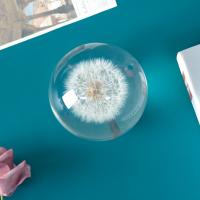 China Pressed Flower Paperweight Glass Paperweights With Flowers Inside for sale