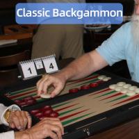 China Stone Custom Backgammon Game Pieces   Galalith Backgammon Pieces for sale