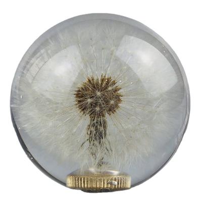 China Gear shift knob with real dandelion inside for sale
