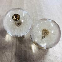 China Gear shift knob with real dandelion inside for sale