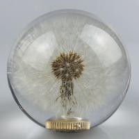 China Gear shift knob with real dandelion inside for sale