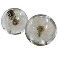 China Gear shift knob with real dandelion inside for sale
