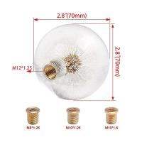 China Custom circular gear Knob Embedded Universal Racing Crystal Ball  Dandelion real Flower Shift Knob for sale