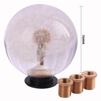 China Wholesale customization resin dandelion acrylic master ball car gear flower shift knob for sale