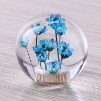 China Custom design logo car gear shift knobs crystal gear shift knob with dry flower inside resin shift gear knob ball for sale