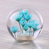 China Custom design logo car gear shift knobs crystal gear shift knob with dry flower inside resin shift gear knob ball for sale