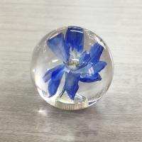 China Dry Flower Gear Shift Knob , Dia70mm Clean Dandelion Gear Knob for sale
