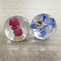 China Dry Flower Gear Shift Knob , Dia70mm Clean Dandelion Gear Knob for sale