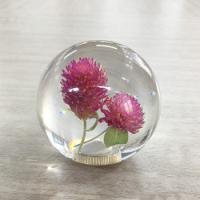 China Dry Flower Gear Shift Knob , Dia70mm Clean Dandelion Gear Knob for sale