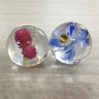 China Dry Flower Gear Shift Knob , Dia70mm Clean Dandelion Gear Knob for sale