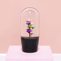 China Factory Hot Sale Customized product Modern Design shift knob custom resin Car Gear Knob Metal nut 10cm car shift knob for sale