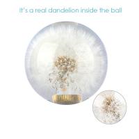 China Universal Racing Dandelion Gear Shift Knob For Manual Vehicles for sale