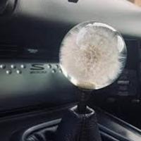 China 70mm Crystal Resin Shift Knob Real Flowers Dandelion Shift Knob for sale