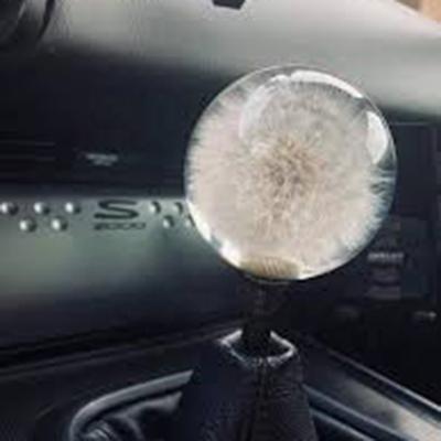 China 70mm Crystal Resin Shift Knob Real Flowers Dandelion Shift Knob for sale