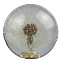 China 70mm Crystal Resin Shift Knob Real Flowers Dandelion Shift Knob for sale