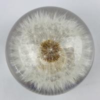 China 70mm Crystal Resin Shift Knob Real Flowers Dandelion Shift Knob for sale