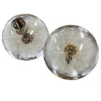 China 70mm Crystal Resin Shift Knob Real Flowers Dandelion Shift Knob for sale