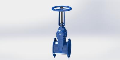China PN25 Ductile Iron Gate Valve Manual Operated Flange Type for sale