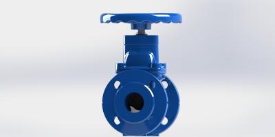 China Corrosion Resistant Flange Connection Gate Valve For Water Works for sale