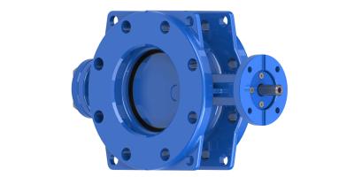 China Gear Operated Double Eccentric Butterfly Valve with Flange Connection for -10 to 80℃ Temperature Range for sale