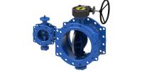 China Arch Or Flat Shape Double Eccentric Butterfly Valve Drinking Water Standard for sale