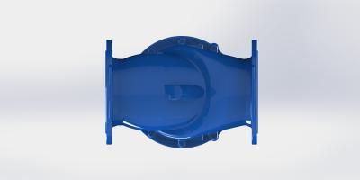 China Flange Connection Check Valve Available For PN16 Pressure Rating for sale