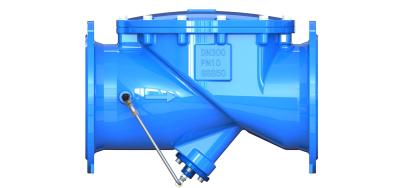 China Hydraulic Cushion No Clog Design Swing Flex Check Valve With Expoxy Coated for sale