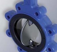 China Elastic CR Butterfly Valve Seat For Soft Seated Butterfly Valve 1 '' - 54 '' Size for sale