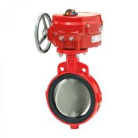 China Wafer / Luggged EPDM Valve Seat , Potable Automotive / Fluid Fkm Seat for sale