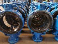 China Boby Mounted Butterfly Rubber Valve Seat Good Elasticity And Compressive for sale