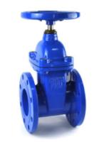 China Soft Sealing Vulcanzied Valve Seat Of Resilient Seated Gate Valve for sale