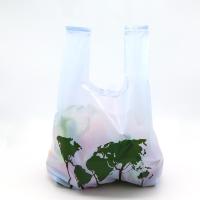 China AISUN Customize Printed  Direct Factory Sale 100% Biodegradable PLA PBAT Compostable Shopping Bags for supermarket for sale