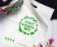 China Customized eco friendly compostable PLA organic plastic cornstarch biodegradable T-shirt shopping bag for sale