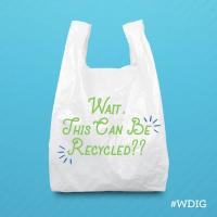 China Custom Biodegradable Shopping Bag T Shirt Small Compost Bags for sale