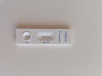 China Custom H Pylori Antibody IgG IgM Rapid Test Device 99% Accuracy 25 Tests for sale